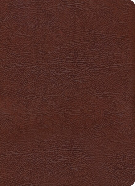 CSB VERSE BY VERSE PASTORS BIBLE BROWN BONDED CSB VERSE BY VERSE PASTORS BIBLE BROWN BONDED