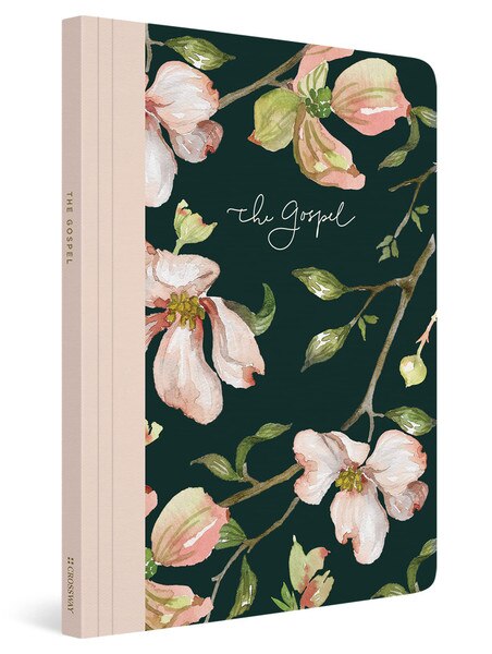 ESV PRAYER JOURNAL: 30 DAYS ON THE GOSPEL PAPER