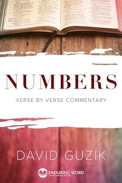 NUMBERS VERSE BY VERSE COMMENTARY